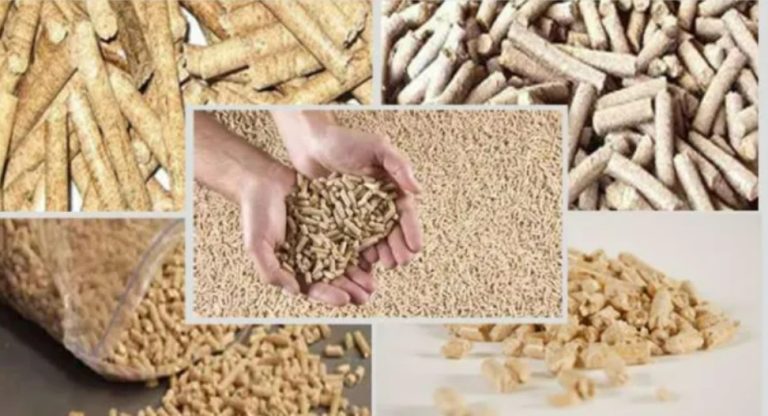 What Does a Granulator Do? - LKMixer